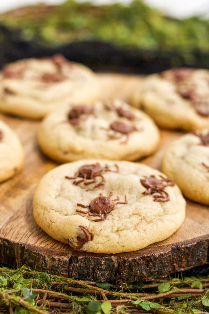 Chocolate Chip Spider Cookies - Fresh Coast Eats