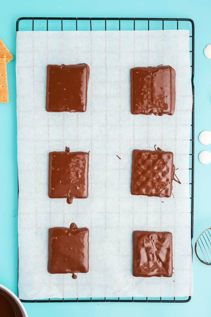 Chocolate Covered Graham Crackers - Fresh Coast Eats